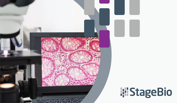 An Introduction to Exploratory Pathology and How It Benefits the ...